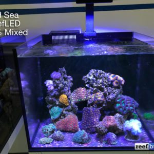 Red Sea ReefLED Review; the Best First-Generation LED Light to Date ...