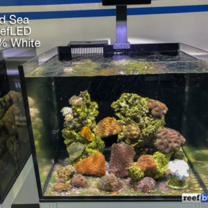 Red Sea ReefLED Review; the Best First-Generation LED Light to Date ...