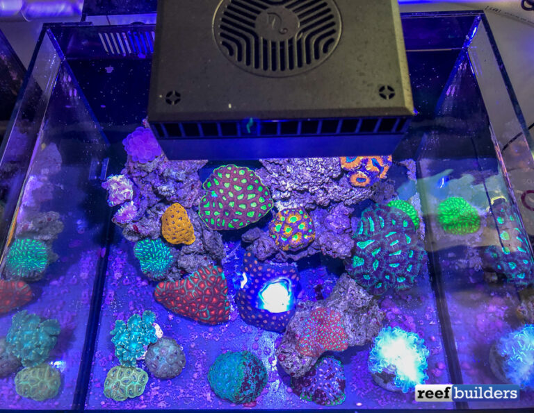 Red Sea ReefLED Review; the Best First-Generation LED Light to Date ...