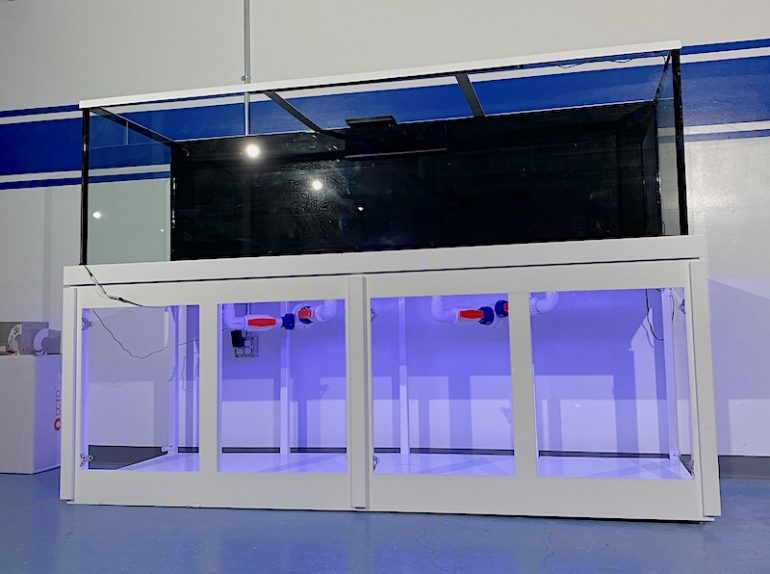 Building a Massive Closed Loop for the 400 Gallon Hardline Reef | Reef ...