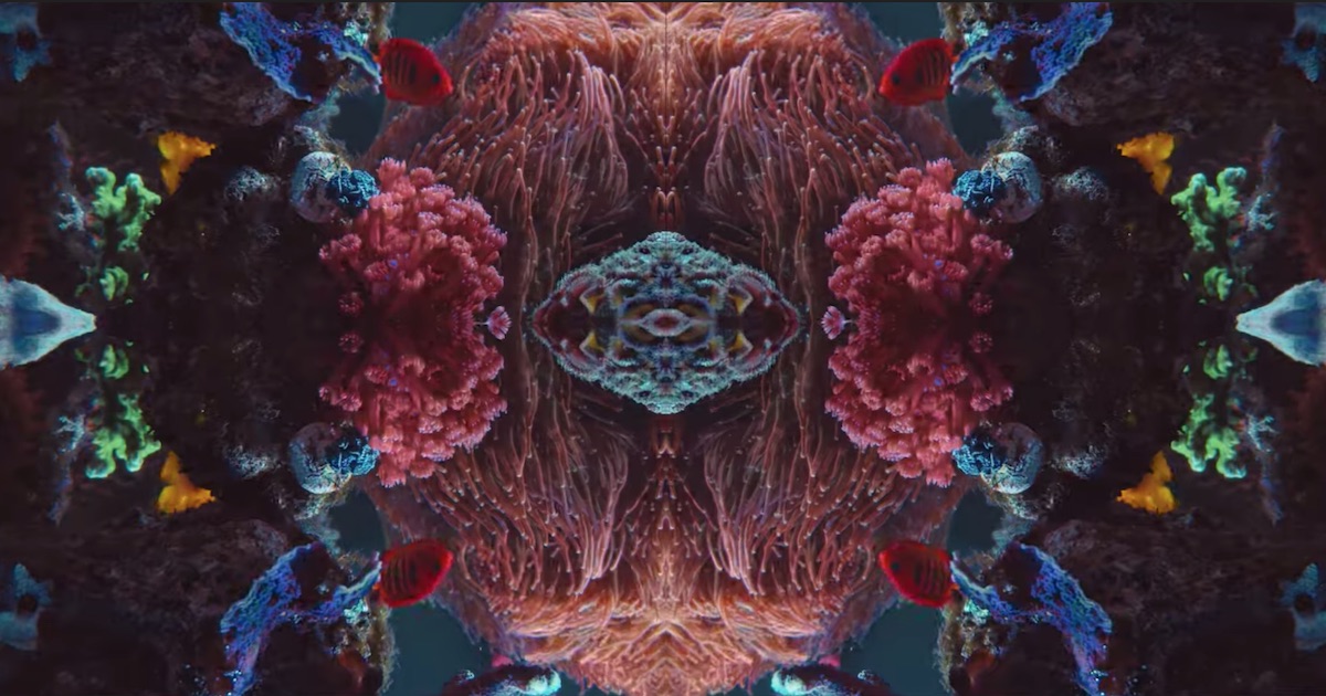 WATCH: Kaleidoscope Reef Dreams | Reef Builders | The Reef and ...