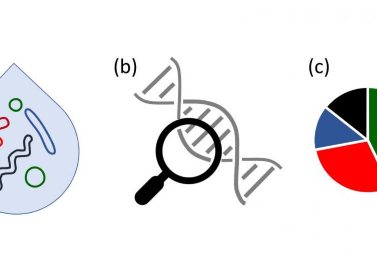 Tag: bacteria | Reef Builders | The Reef and Saltwater Aquarium Blog