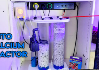 Tag: Calcium Reactor | Reef Builders | The Reef and Saltwater Aquarium Blog