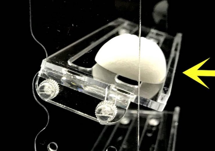 Tag: frag rack | Reef Builders | The Reef and Saltwater Aquarium Blog