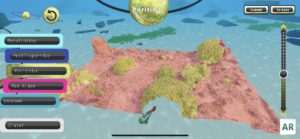 NASA NeMO-Net Wants YOU To Help Classify Coral Ecosystems | Reef ...