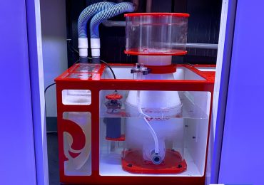 Tag: reef octopus | Reef Builders | The Reef and Saltwater Aquarium Blog