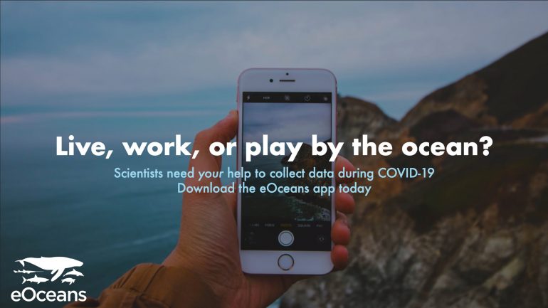 eOceans Citizen Science App for Ocean Observations | Reef Builders ...