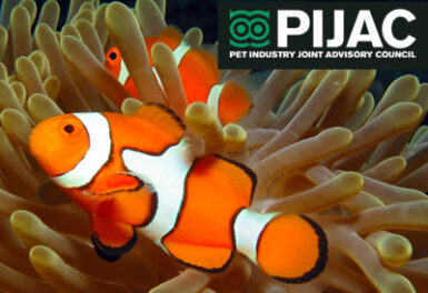 Who is PIJAC and How Are They Helping Us? | Reef Builders | The Reef ...