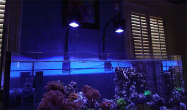 The Deep Dive on Reef Aquarium Lighting, Part 2: Lighting Technologies ...