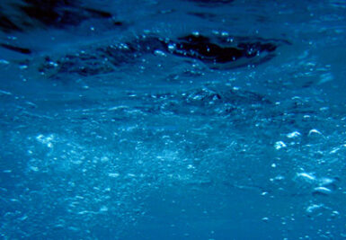 6 Steps to Stable pH in a Saltwater System | Reef Builders | The Reef ...