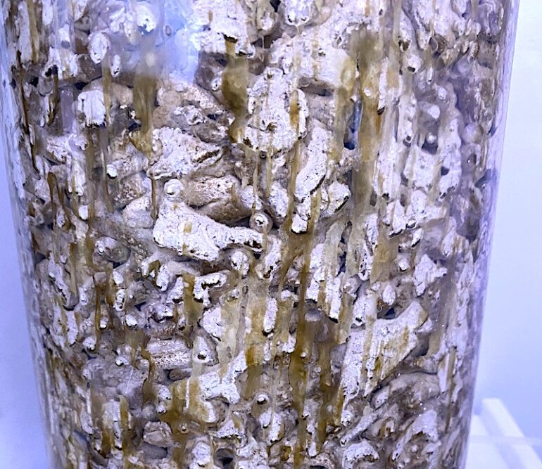 The Importance of Regular Calcium reactor Maintenance | Reef Builders ...