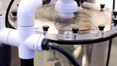 The Calcium Reactor: A Device Well Worth its Salt | Reef Builders | The ...