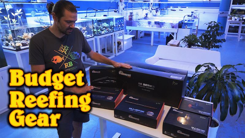 Budget Reefing with Maxspect Jump Products | Reef Builders | The Reef ...