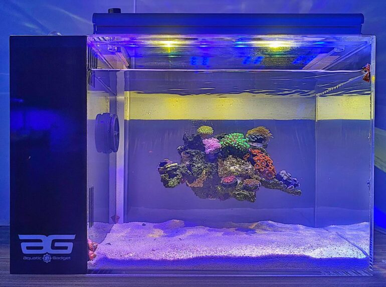 Oceanexus Magnetic Rock Is Perfect For Creating Floating Reefscapes ...