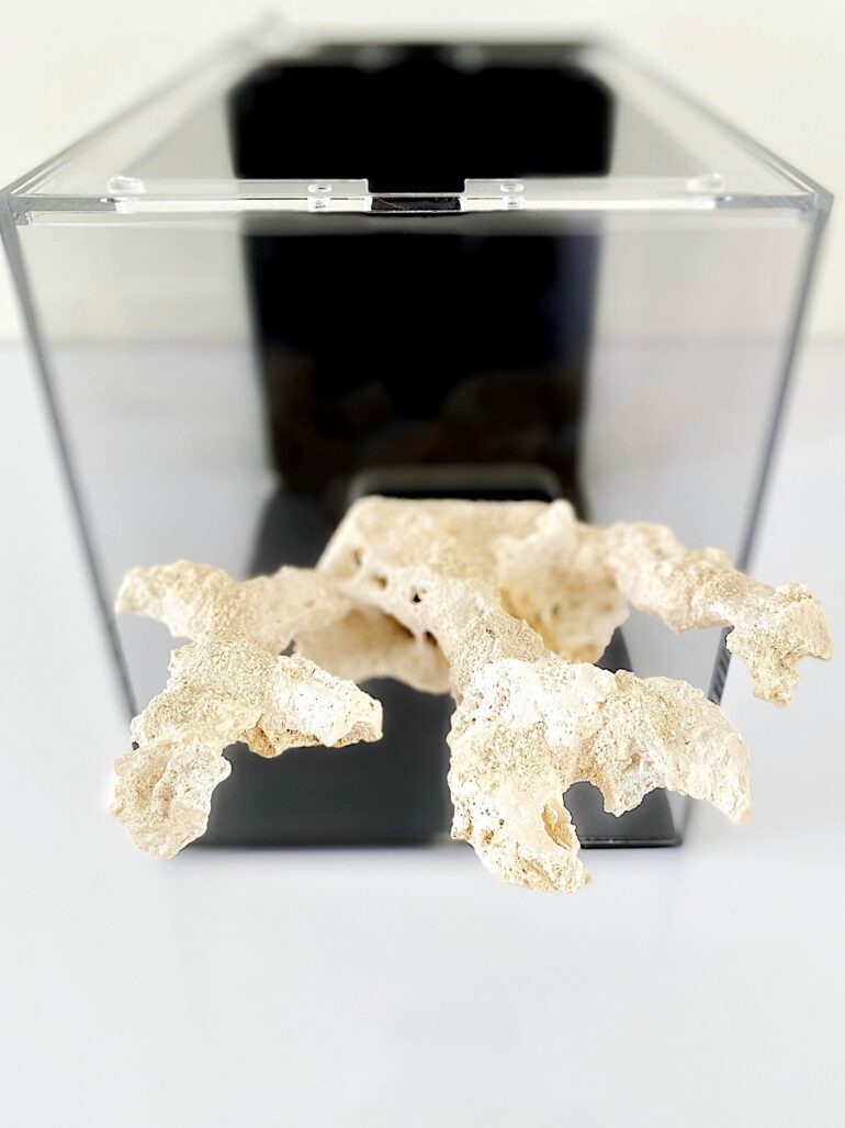 Oceanexus Magnetic Rock Is Perfect For Creating Floating Reefscapes ...