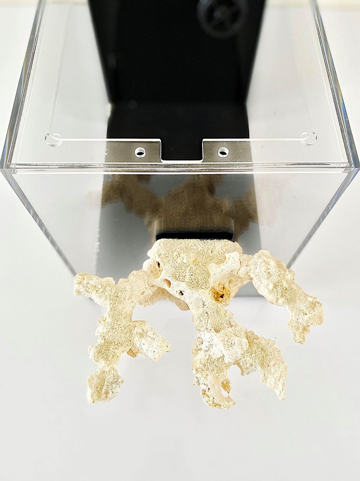 Oceanexus Magnetic Rock Is Perfect For Creating Floating Reefscapes ...