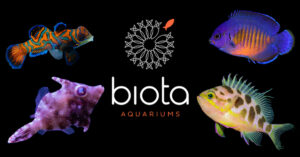 Biota Now Shipping Captive Bred Animals Direct To Consumer | Reef ...