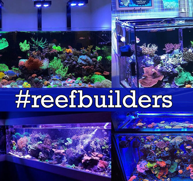 NanoBox Reef now using a very efficient array of Luxeon T & Rebel LEDs ...
