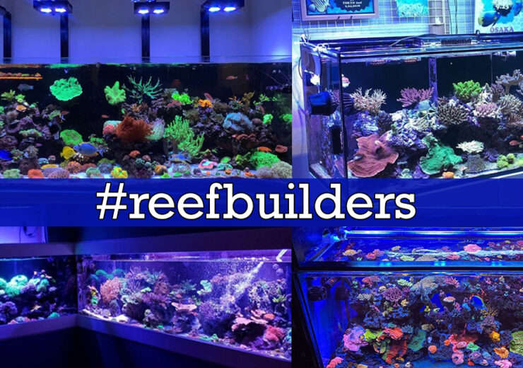 Tag: Full tank shots | Reef Builders | The Reef and Saltwater Aquarium Blog