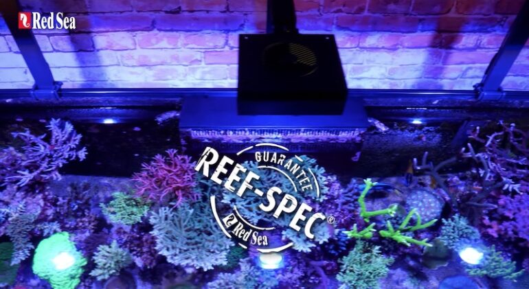 Red Sea Releases The New ReefLED 160S | Reef Builders | The Reef and ...