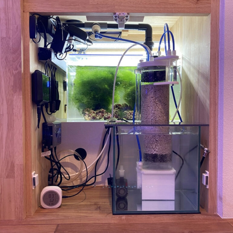 Takaki’s Japanese ‘Nature Aquarium’ Style Reef Tank | Reef Builders ...
