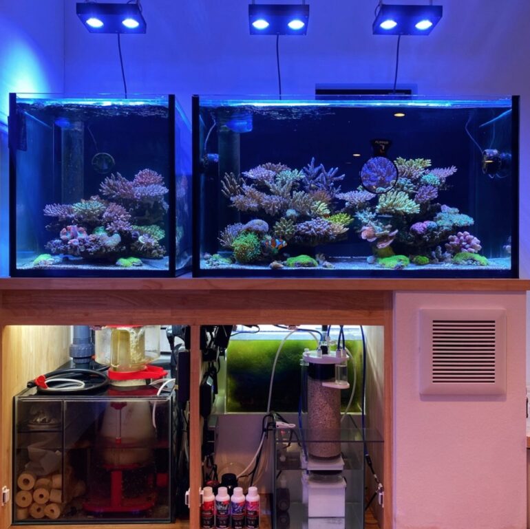 Takaki’s Japanese ‘Nature Aquarium’ Style Reef Tank | Reef Builders ...