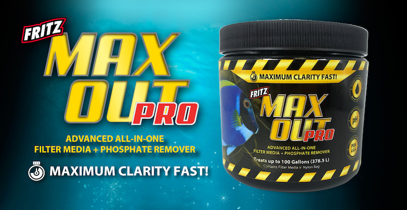 Fritz Aquatics Acquires Startup Chemical Media Brand MaxOut | Reef ...