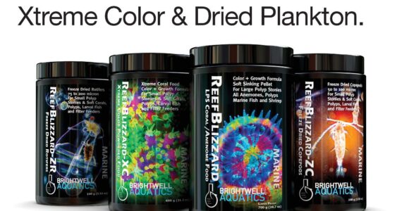 Tunze Coral Flex adhesive offers strong hold, flexibility | Reef ...
