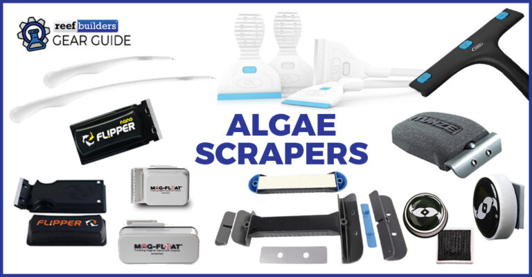 The Best Algae Scrapers for Saltwater Aquariums - Reef Builders Gear ...