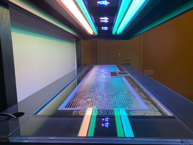 The Best Lids for Saltwater Aquariums - Reef Builders Gear Guide | Reef ...