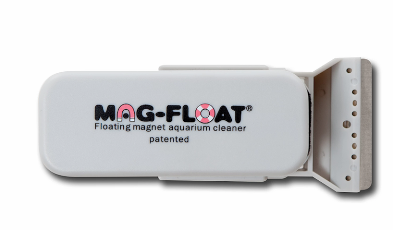 The Best Algae Scrapers for Saltwater Aquariums - Reef Builders Gear ...