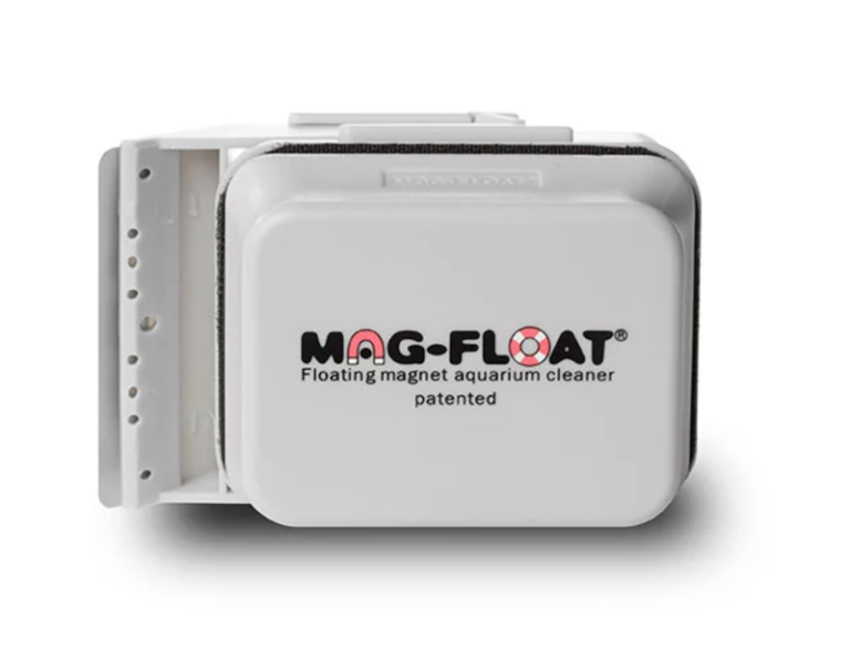 The Best Algae Scrapers for Saltwater Aquariums - Reef Builders Gear ...