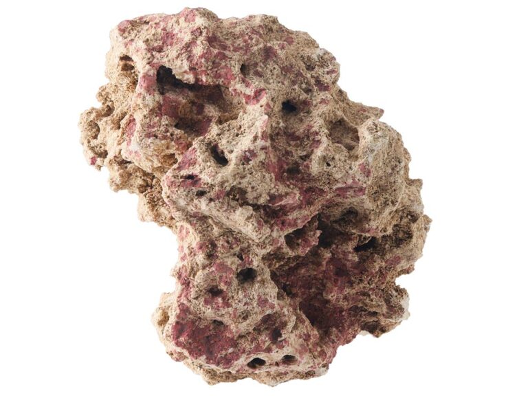 The Best Dry Rock For Aquascaping Saltwater Aquariums - Reef Builders ...