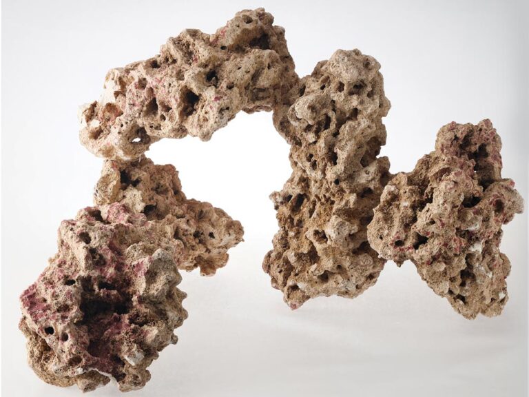 The Best Dry Rock For Aquascaping Saltwater Aquariums - Reef Builders ...