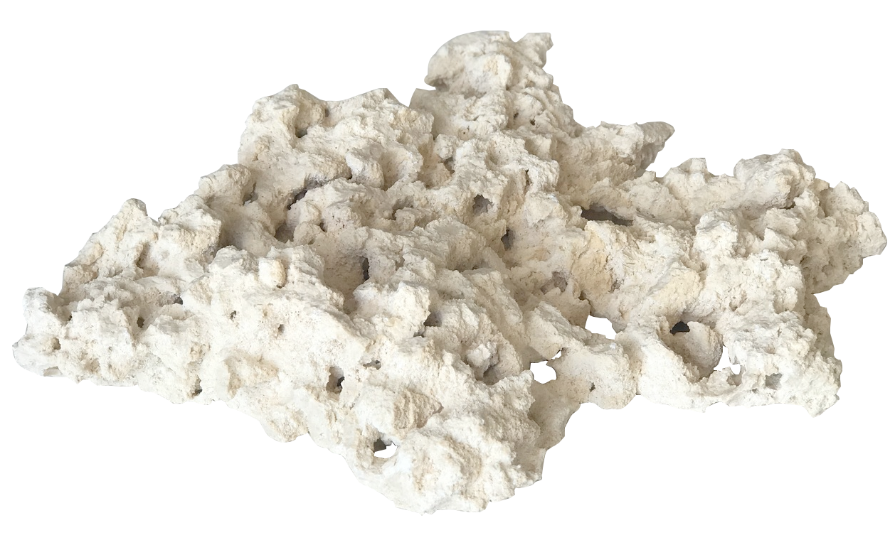 The Best Dry Rock For Aquascaping Saltwater Aquariums - Reef Builders ...