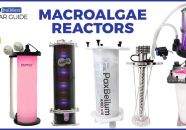 Tag: macroalgae reactor | Reef Builders | The Reef and Saltwater Aquarium Blog