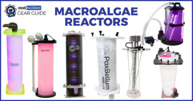 The Best Macroalgae Reactors - Reef Builders Gear Guide | Reef Builders ...