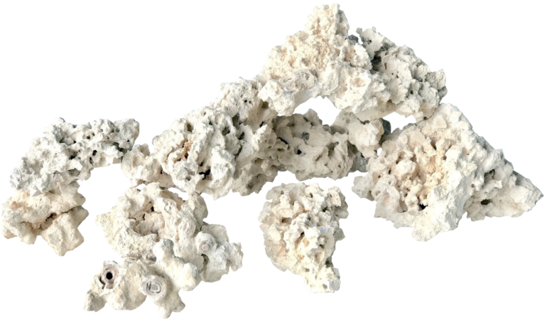 The Best Dry Rock For Aquascaping Saltwater Aquariums - Reef Builders ...