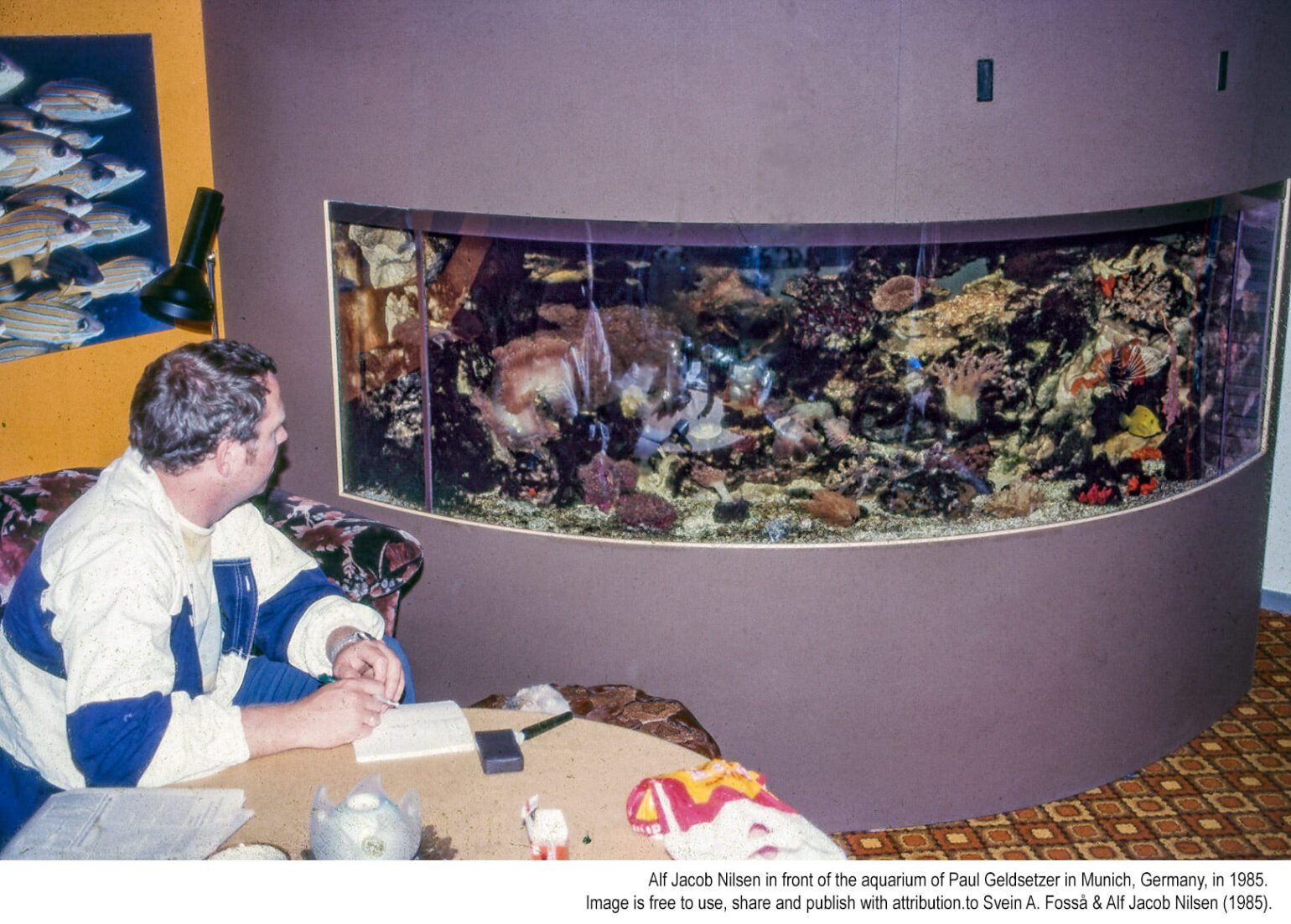 Time Capsule of German Mini Reef Aquariums from 1985 | Reef Builders ...