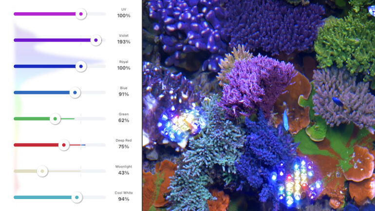 Aquarium LED Light Colors Explained [Video] | Reef Builders | The Reef ...
