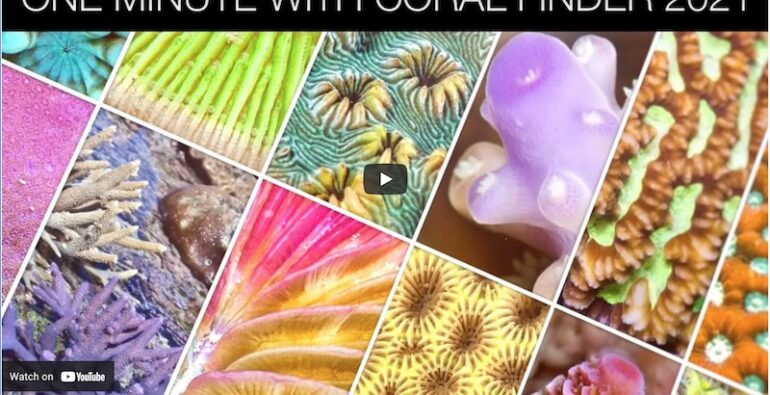 BYOGuides’ Coral Finder Rolls Into its 2021 Edition | Reef Builders ...