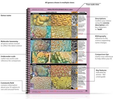 BYOGuides’ Coral Finder Rolls Into its 2021 Edition | Reef Builders ...