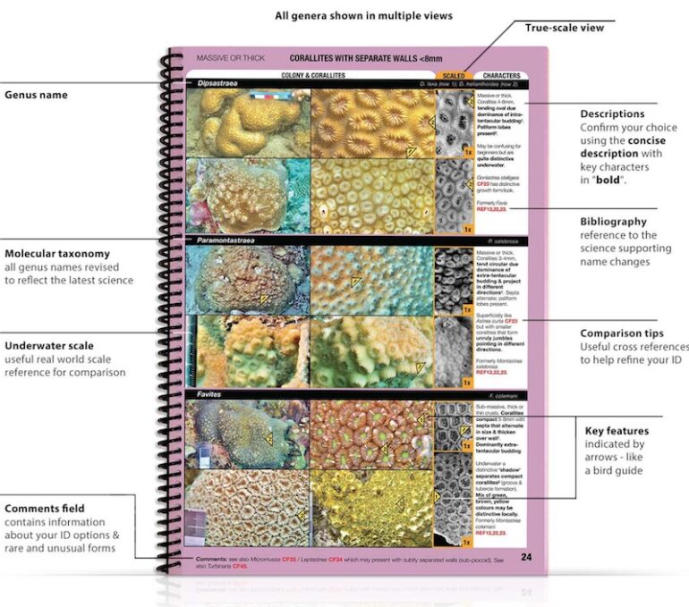BYOGuides’ Coral Finder Rolls Into its 2021 Edition | Reef Builders ...