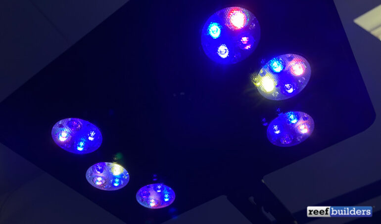 Maxspect Jump L-165 LED Strikes a Balance of Features, Power, and Price ...