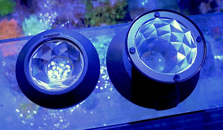 Kessil A500X LED Review - Changing our Mind About Point Source Lighting ...