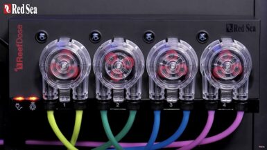 Red Sea ReefDose 2 & ReefDose 4 Available Next Month | Reef Builders ...