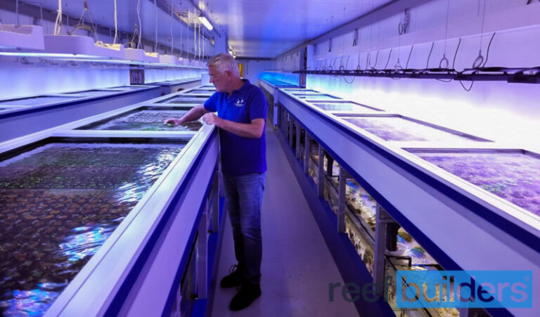De Jong Marinelife’s New Coral Farm | Reef Builders | The Reef and ...