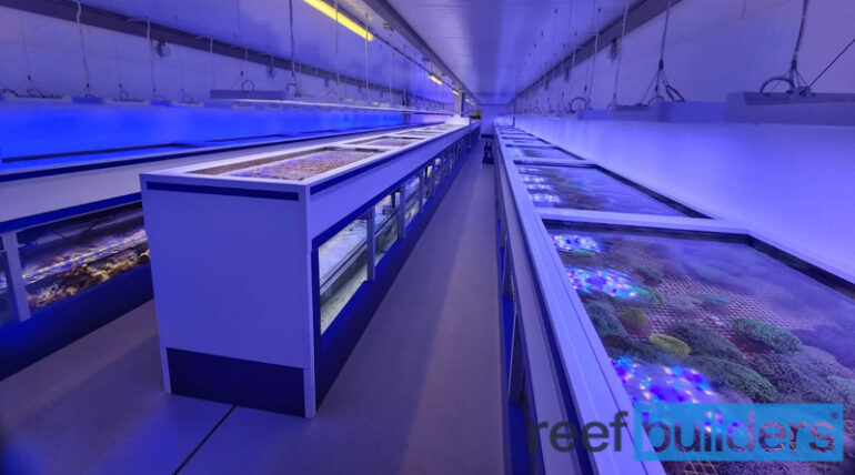 De Jong Marinelife’s New Coral Farm | Reef Builders | The Reef and ...