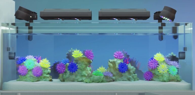 Powertronic & Flowtronic Look to Round Out Focustronic Ecosystem | Reef ...