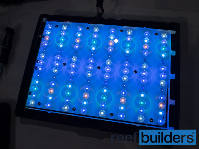Neptune SKY LED Teardown - Make Your Own Conclusions | Reef Builders ...